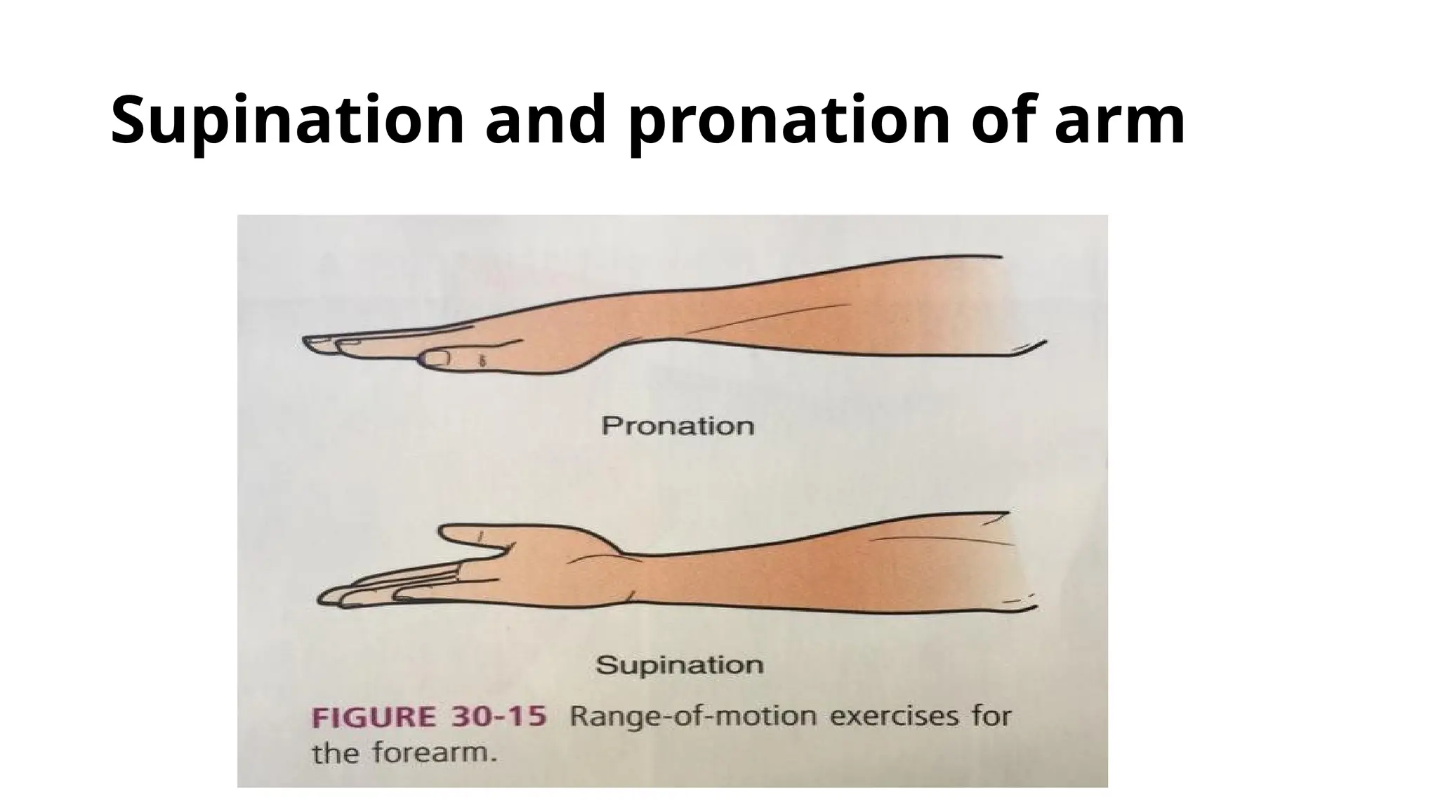 UPPER LIMB. Examination of strength of upper lomb pptx | PPTX