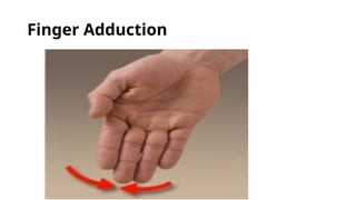 UPPER LIMB. Examination of strength of upper lomb pptx | PPTX