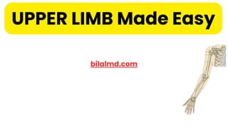 Upper Limb Anatomy Made Easy | Clavicle, Scapula & Carpal Bones ...