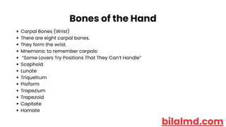 Upper Limb Anatomy Made Easy | Clavicle, Scapula & Carpal Bones ...