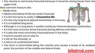 Upper Limb Anatomy Made Easy | Clavicle, Scapula & Carpal Bones ...