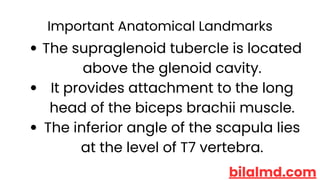 Upper Limb Anatomy Made Easy | Clavicle, Scapula & Carpal Bones ...
