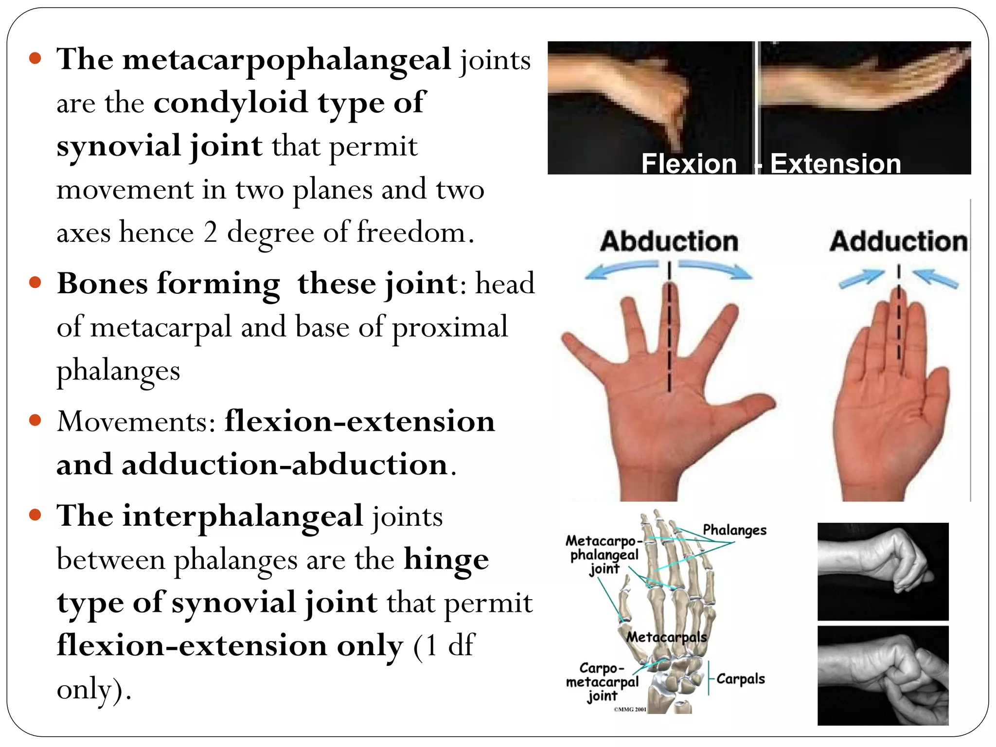 Upper limb bones-joints-muscles-Dr.B.B.Gosai | PDF
