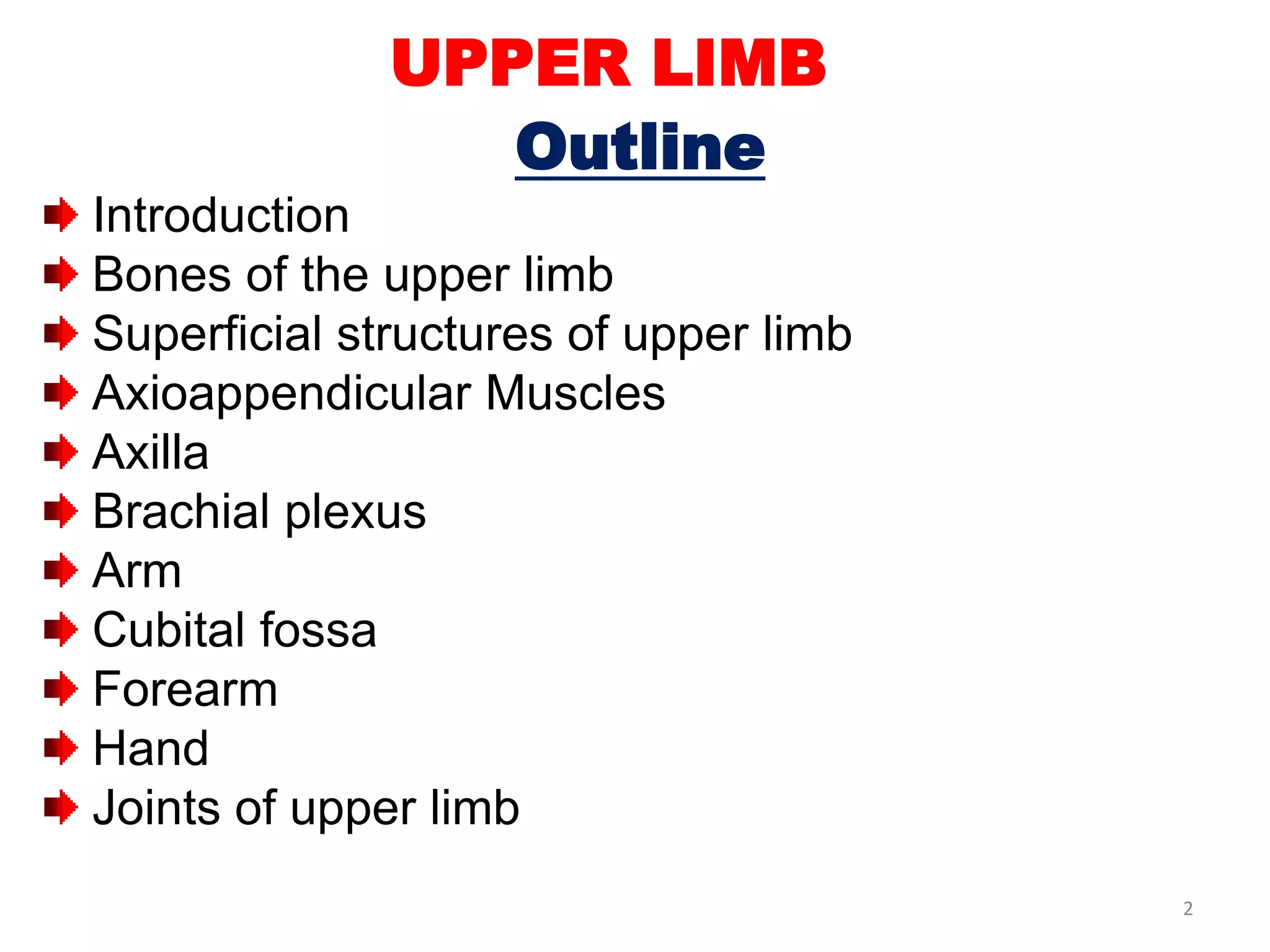 upper limb 1.pdf