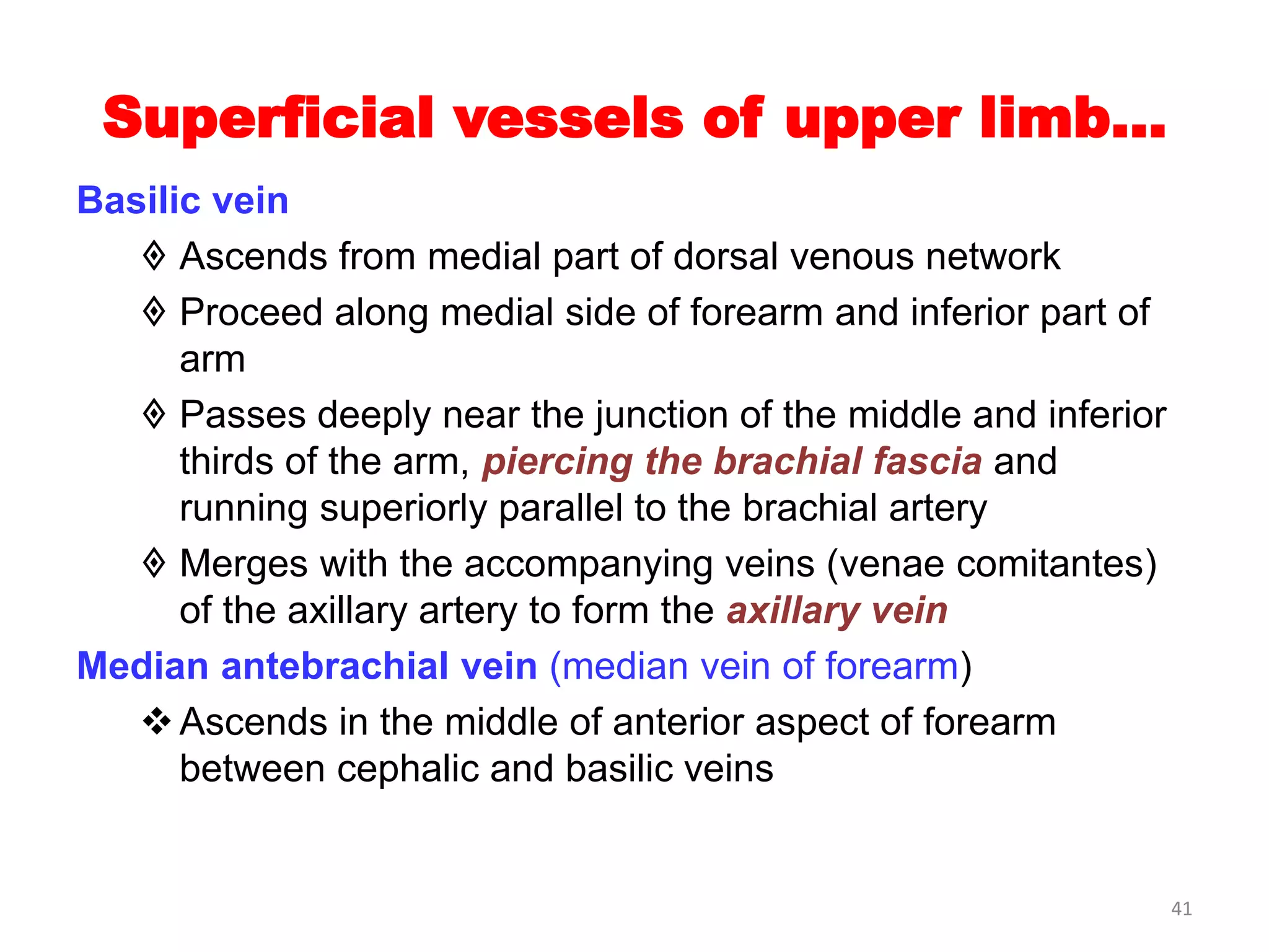 upper limb 1.pdf