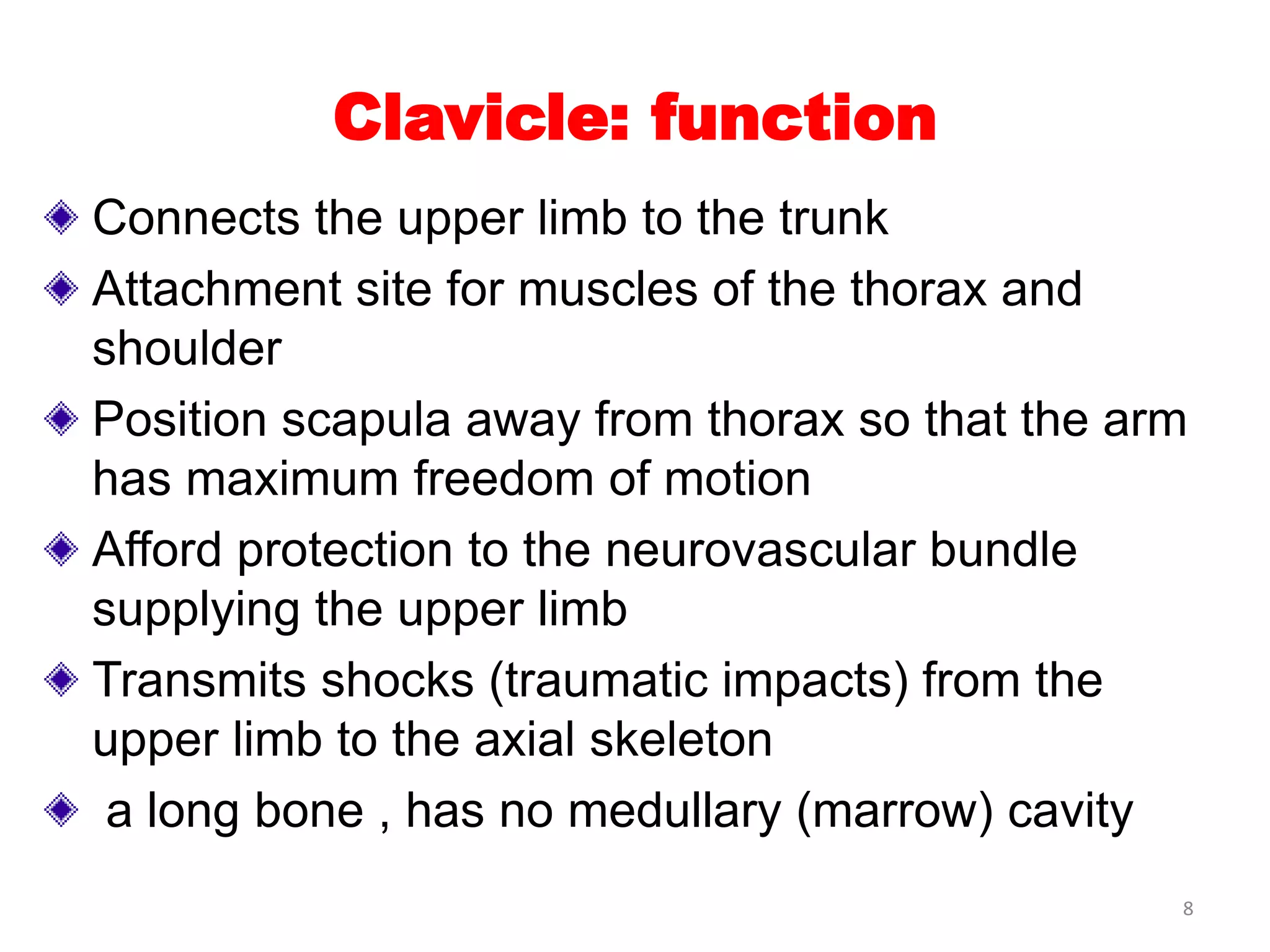 upper limb 1.pdf
