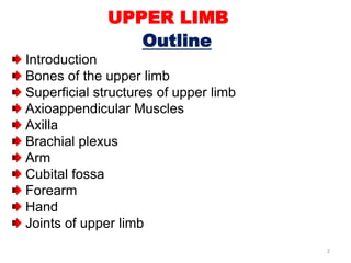 upper limb 1.pdf