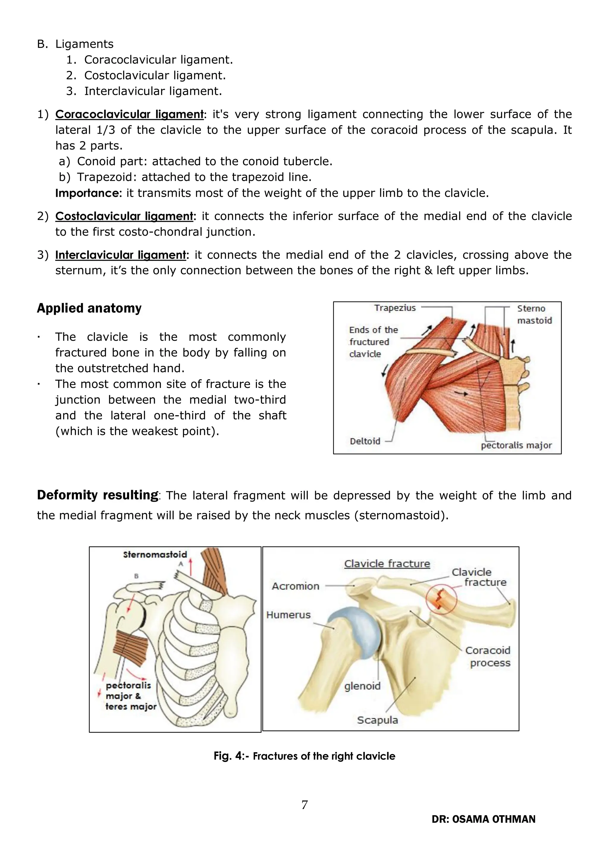 Upper limb 2021 final version protection Dr OSAMA.pdf