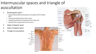 UPPER LIMB 2024......................pdf