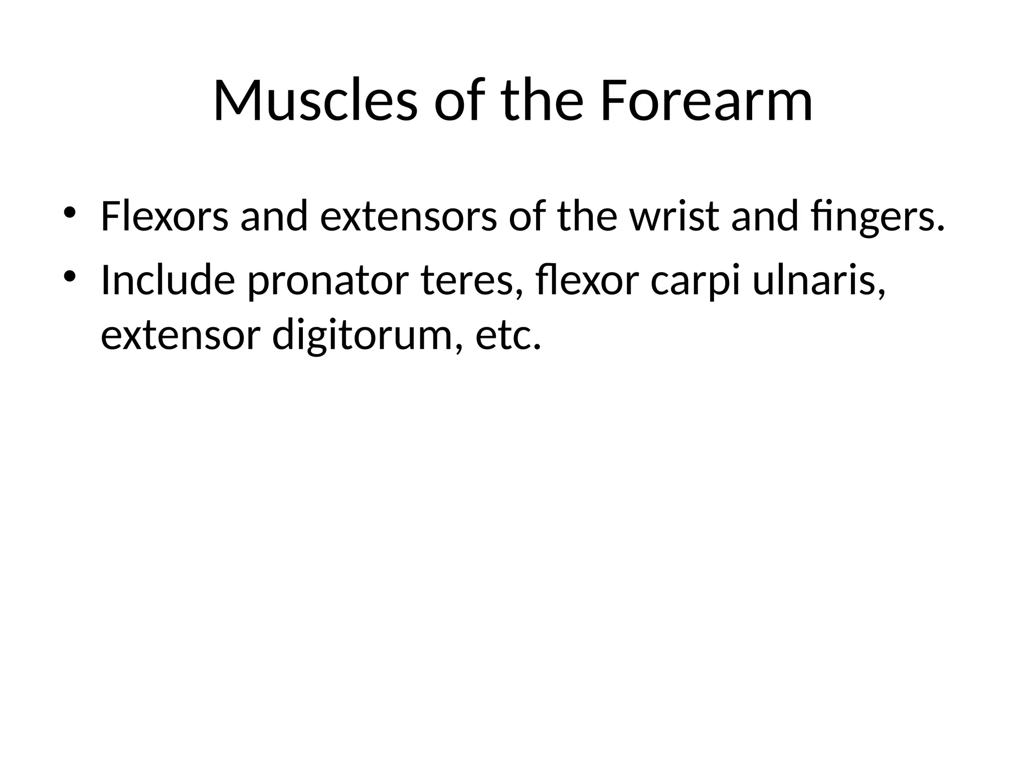 Upper_Limb_2_Muscles.pptx- clinical anatomy | PPTX
