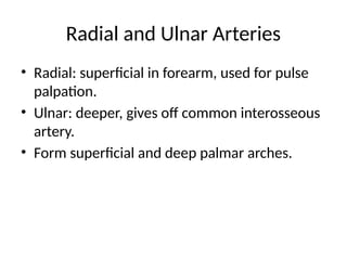 shoort notes -Upper_Limb_4_Arteries_and_Veins.pptx