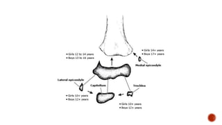Upper limb age estimation .pptx