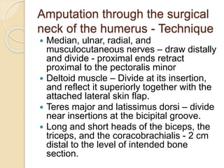 Upper Limb Amputations | PPTX