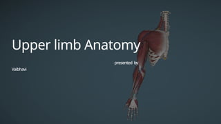 Upper limb anatomy for Medical Students.pptx