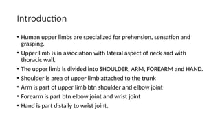 UPPER LIMB ANATOMY 1.pptx summarized notes | PPTX