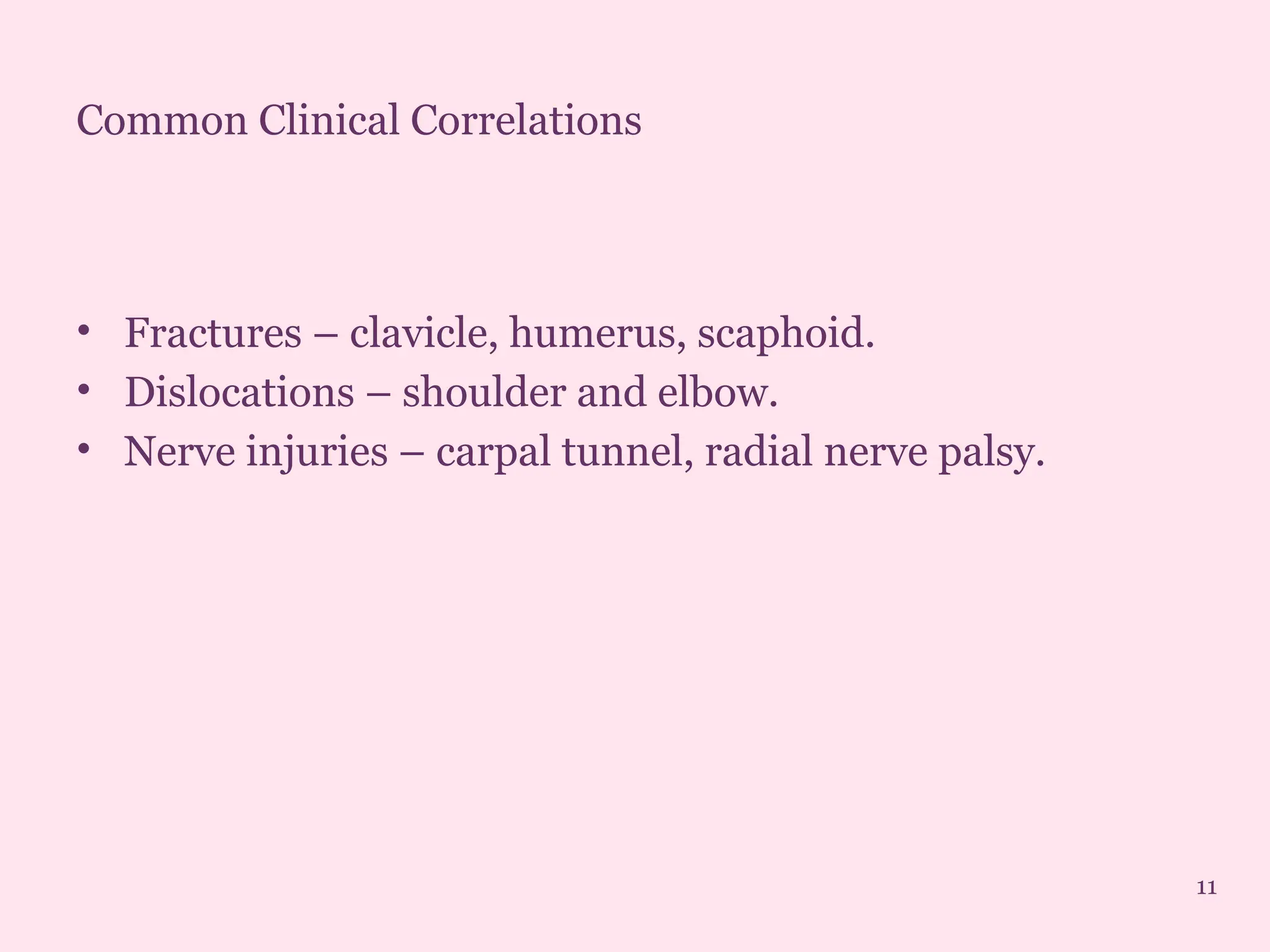 Upper_Limb_Anatomy_Intro_Presentation.pptx