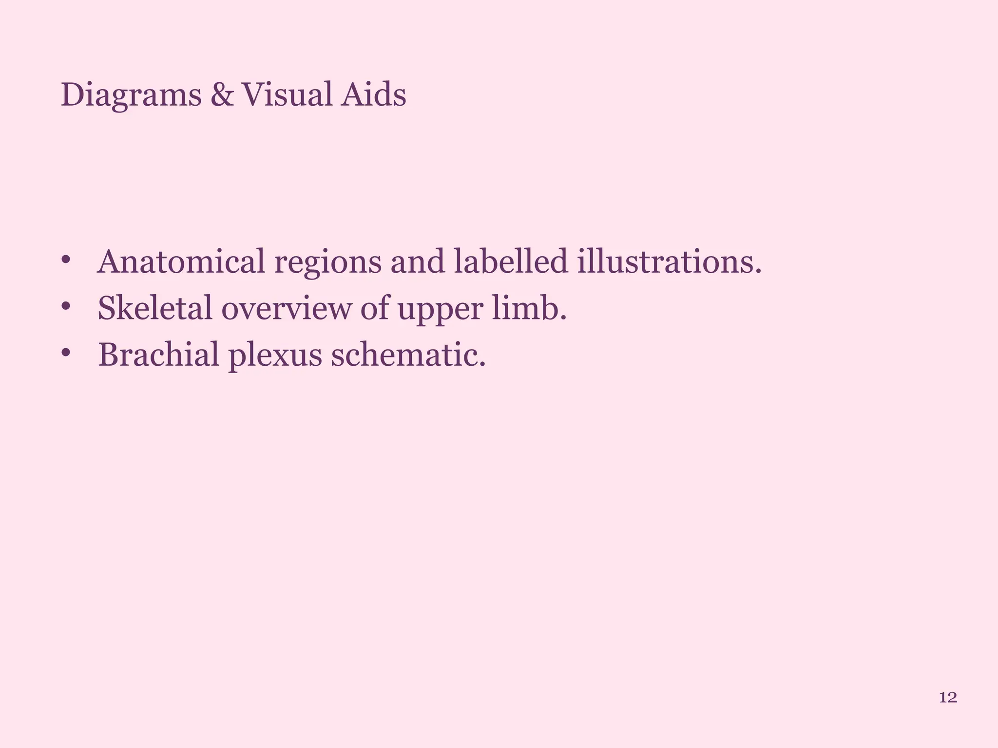 Upper_Limb_Anatomy_Intro_Presentation.pptx