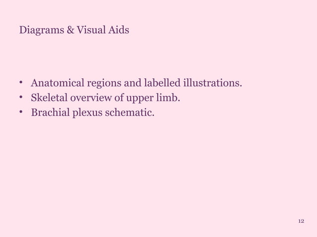 Upper_Limb_Anatomy_Intro_Presentation.pptx