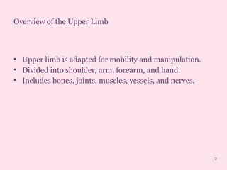 Upper_Limb_Anatomy_Intro_Presentation.pptx