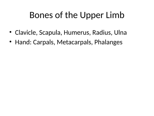 Upper_Limb_Anatomy_fPresentmmmation.pptx
