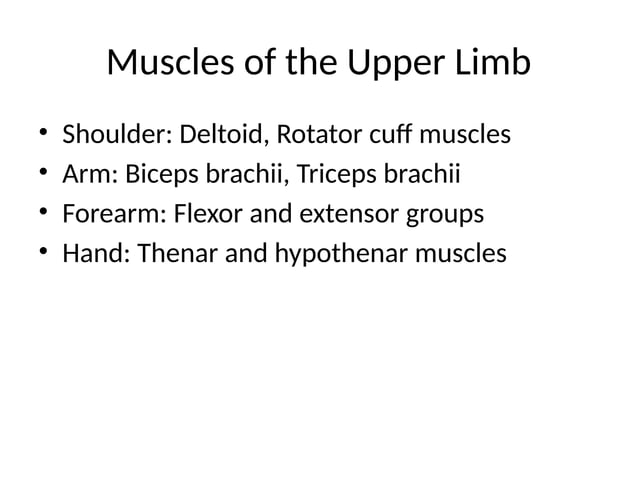 Upper_Limb_Anatomy_fPresentmmmation.pptx