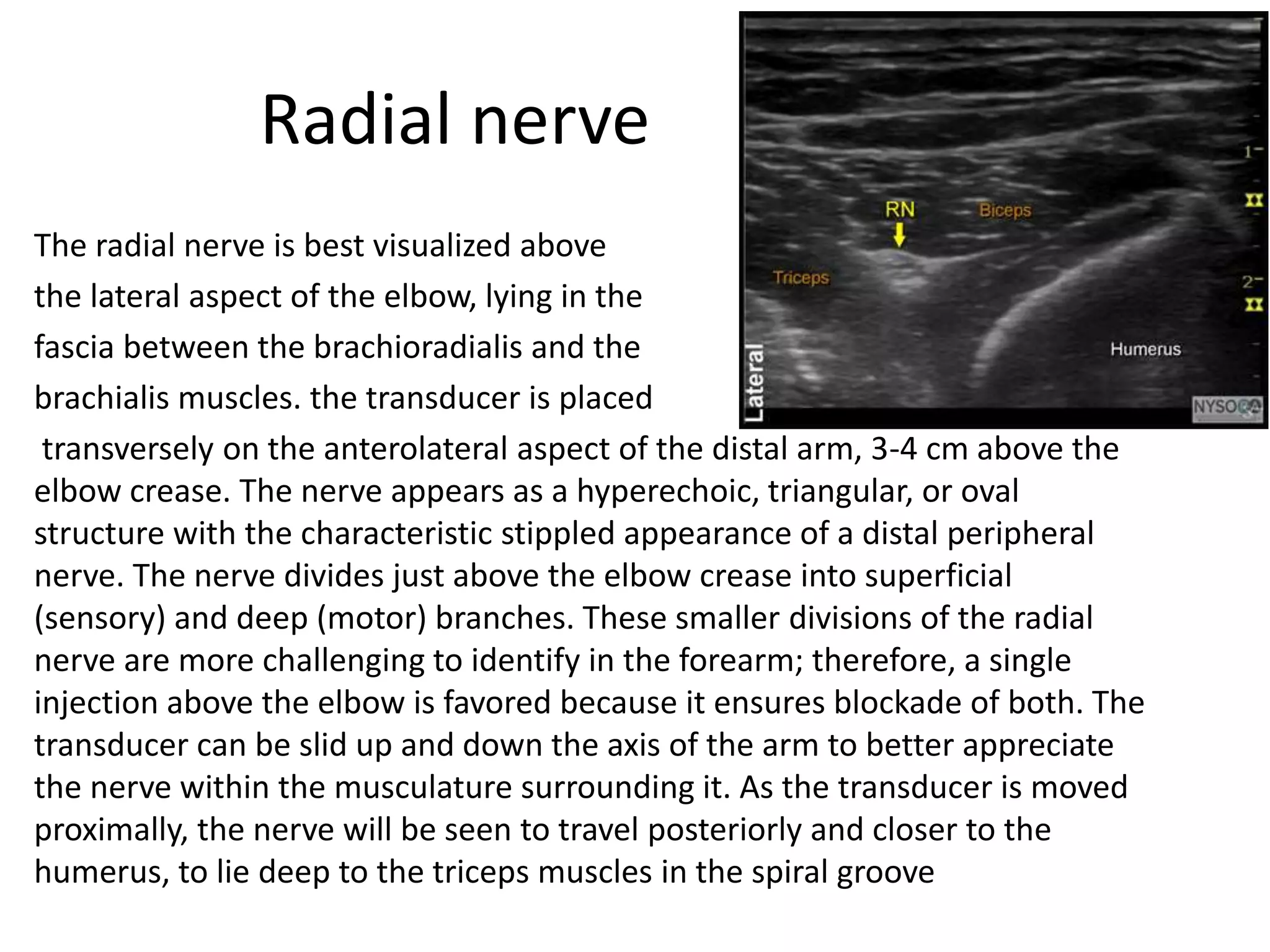 Upper limb blocks | PPT