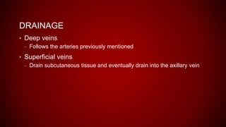 Upper limb Blood Supply arteries.pptx