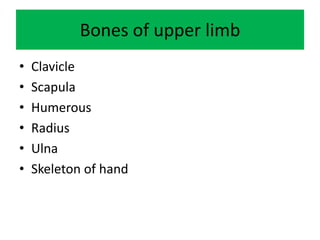 Upper limb bone | PPTX