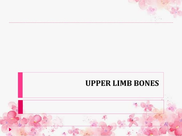 Upper limb bones | PPSX