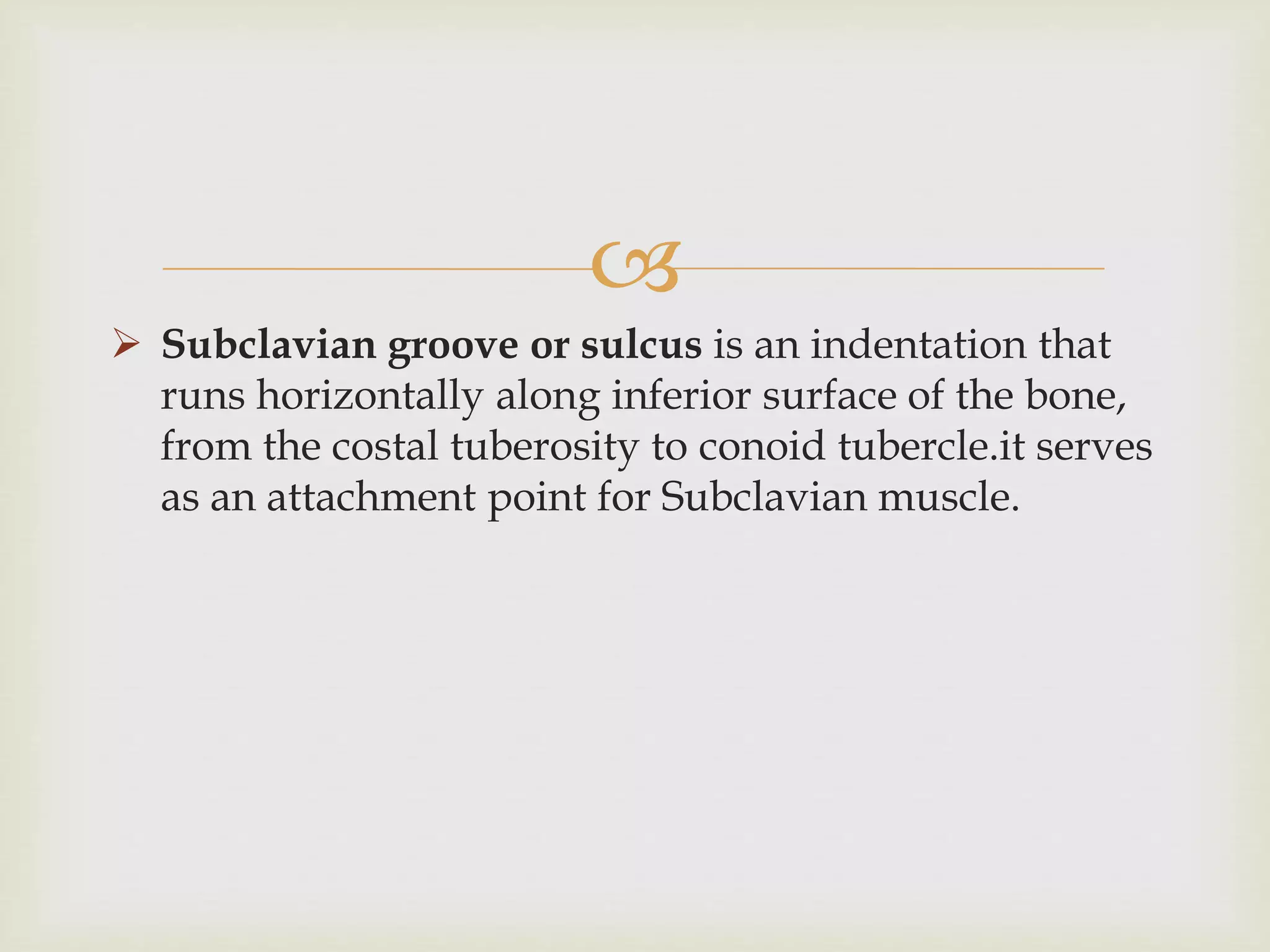 Upper limb bones.pptx