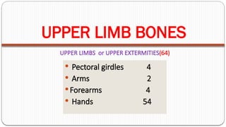 UPPER LIMB BONES.pptxgvygukghkjbkjbgyftfrydtesuyjgyit67t7gjhgui7ugoug ...
