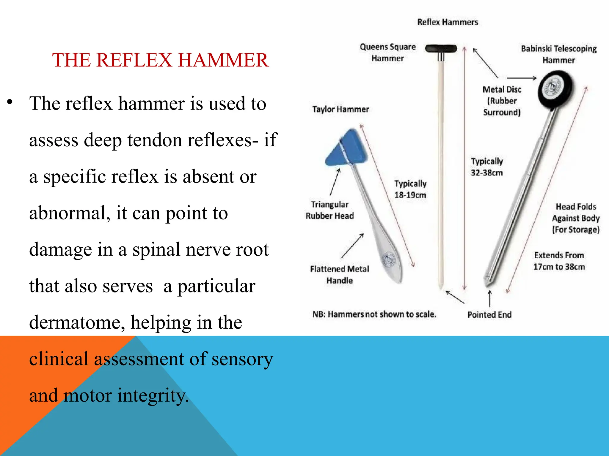 UPPER LIMB DERMATOMES AND THEIR CLINICAL SIGNIFICANCE. pptx | PPTX
