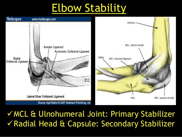Upper limb fractures (part2)