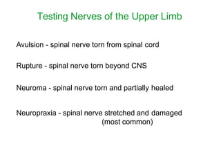 Upper limb full intro | PPT