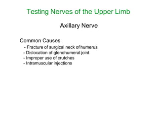 Upper limb full intro | PPT