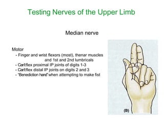 Upper limb full intro | PPT