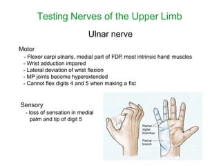 Upper limb full intro | PPT