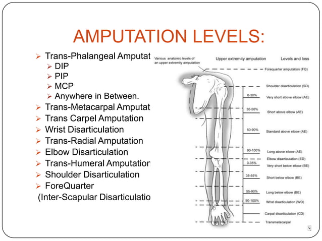 Upper limb functional prosthesis | PPTX