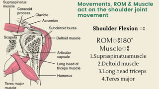 Upperlimb joint (shoulder joint).pptx