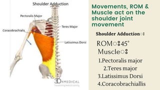 Upperlimb joint (shoulder joint).pptx