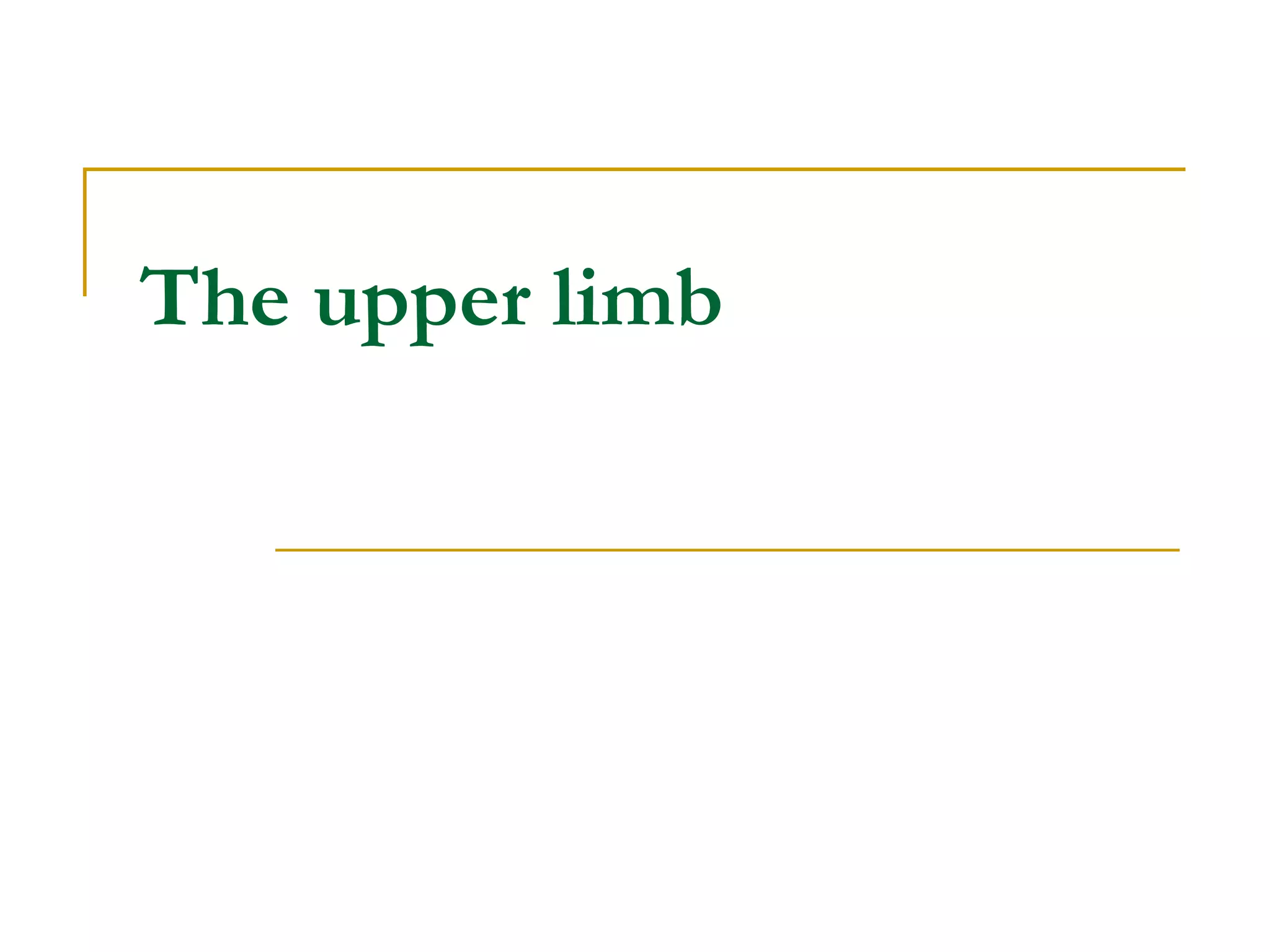 upper limb lecture 1.ppt