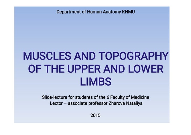 Upper Limb Muscle Anatomy Pdf Free Download