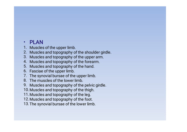 upper limb muscle anatomy.pdf | Free Download