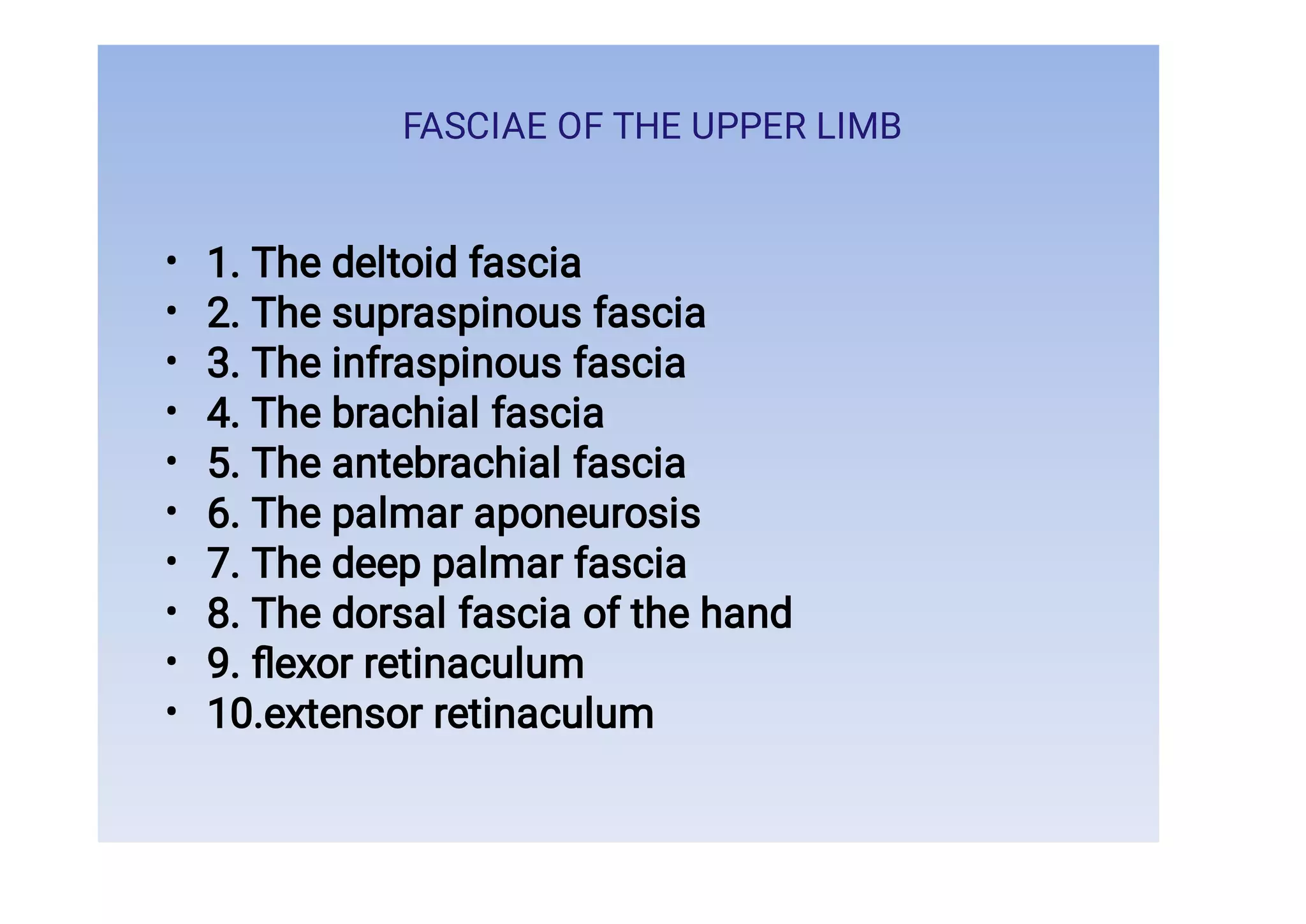 upper limb muscle anatomy.pdf