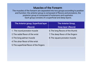 upper limb muscle anatomy.pdf