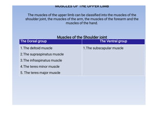 upper limb muscle anatomy.pdf