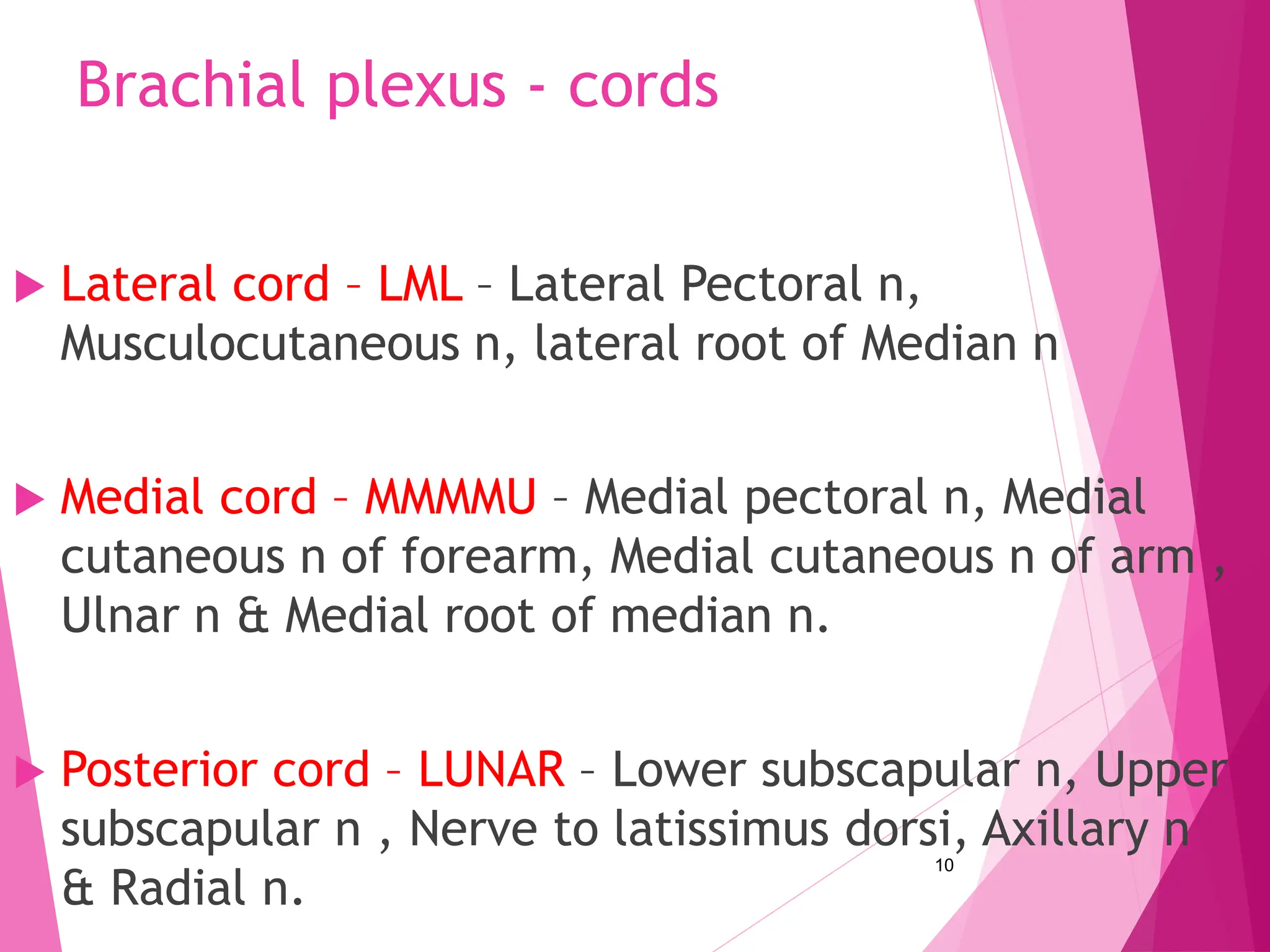 UPPER LIMB MUSCLES.pdf anatomy for first year | PDF