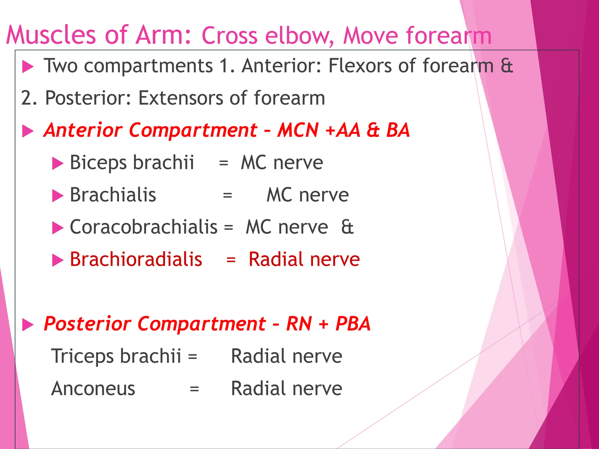 UPPER LIMB MUSCLES.pdf anatomy for first year | PDF