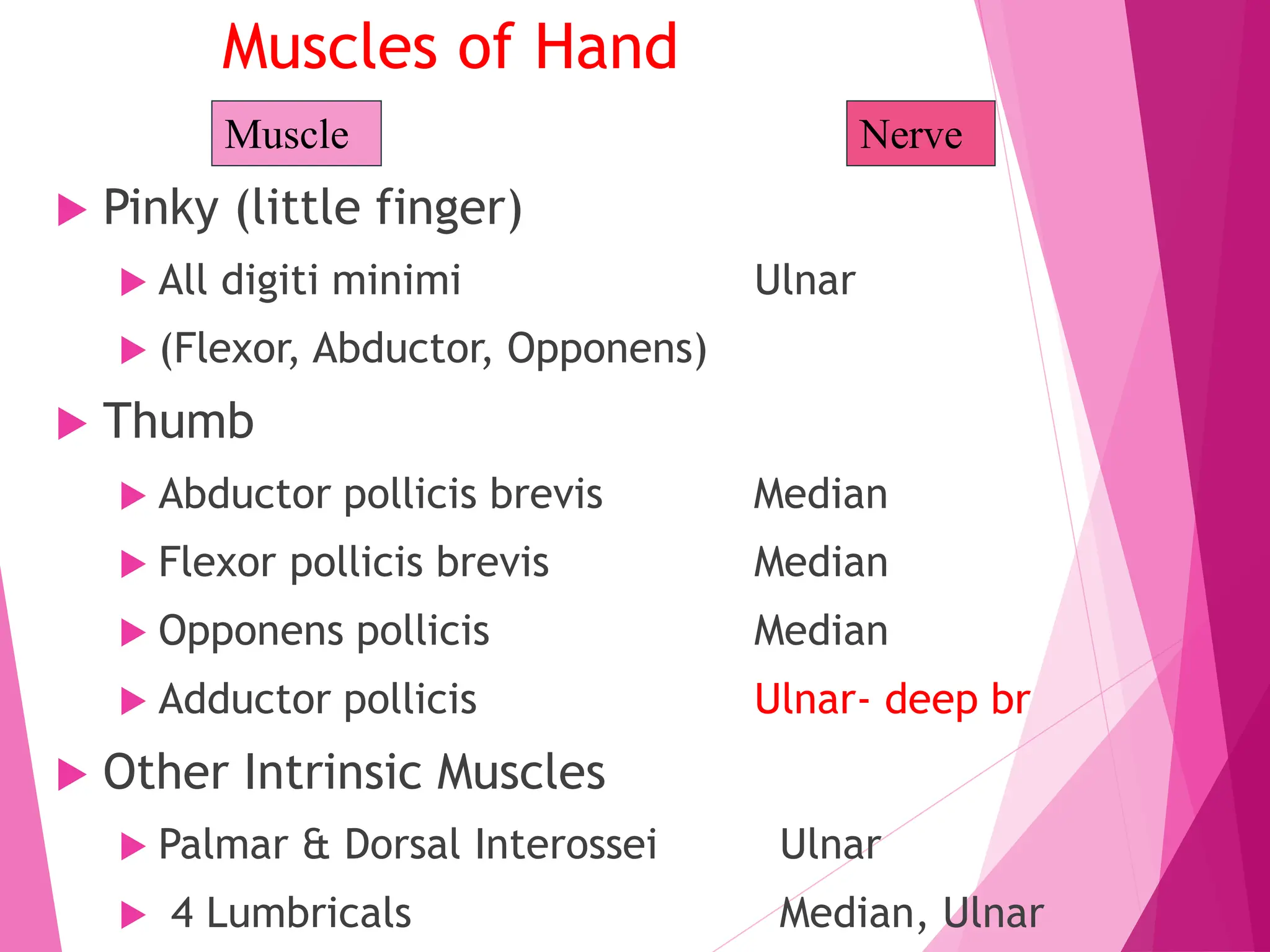 UPPER LIMB MUSCLES.pdf anatomy for first year | PDF