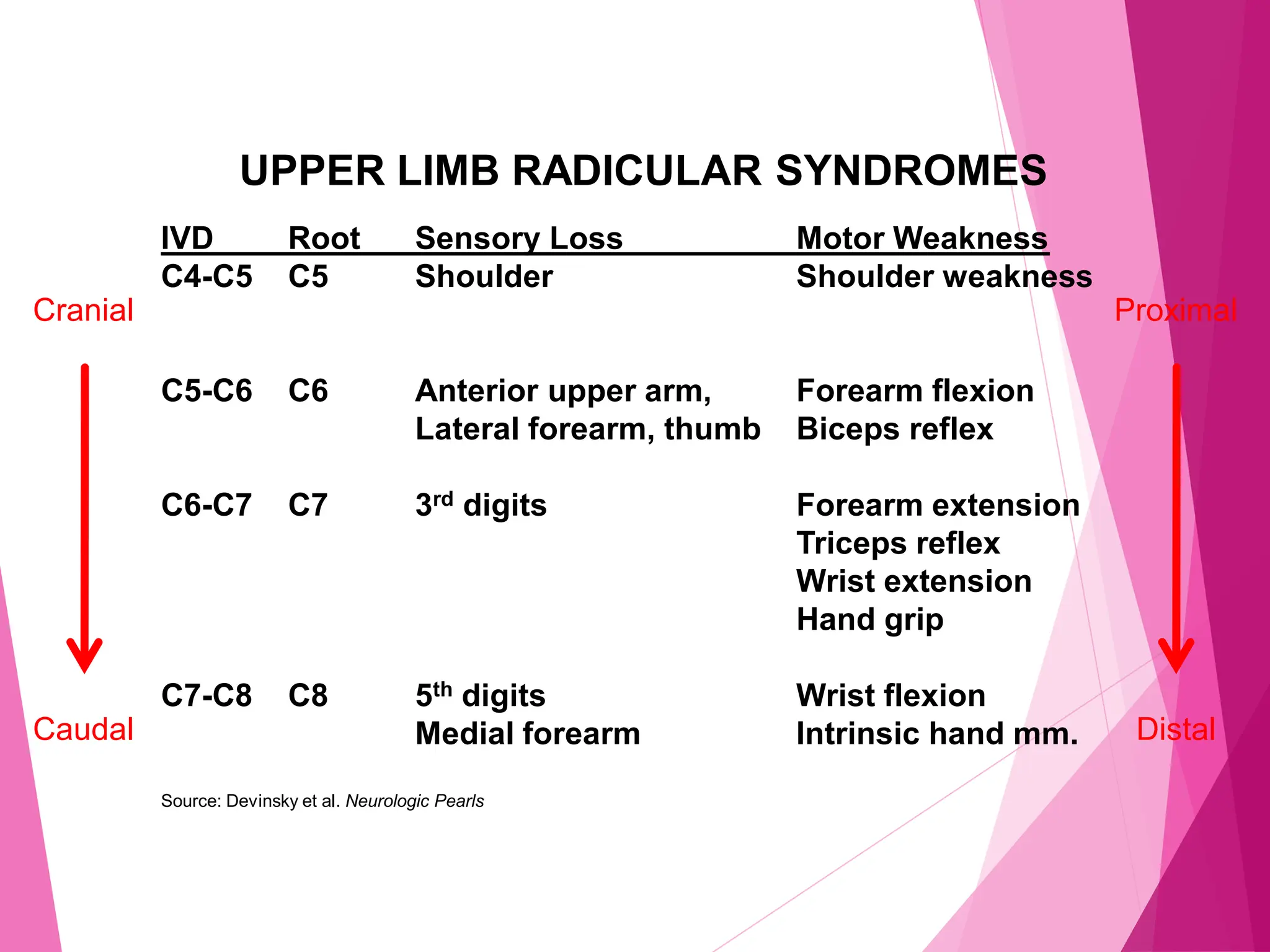 UPPER LIMB MUSCLES.pdf anatomy for first year | PDF